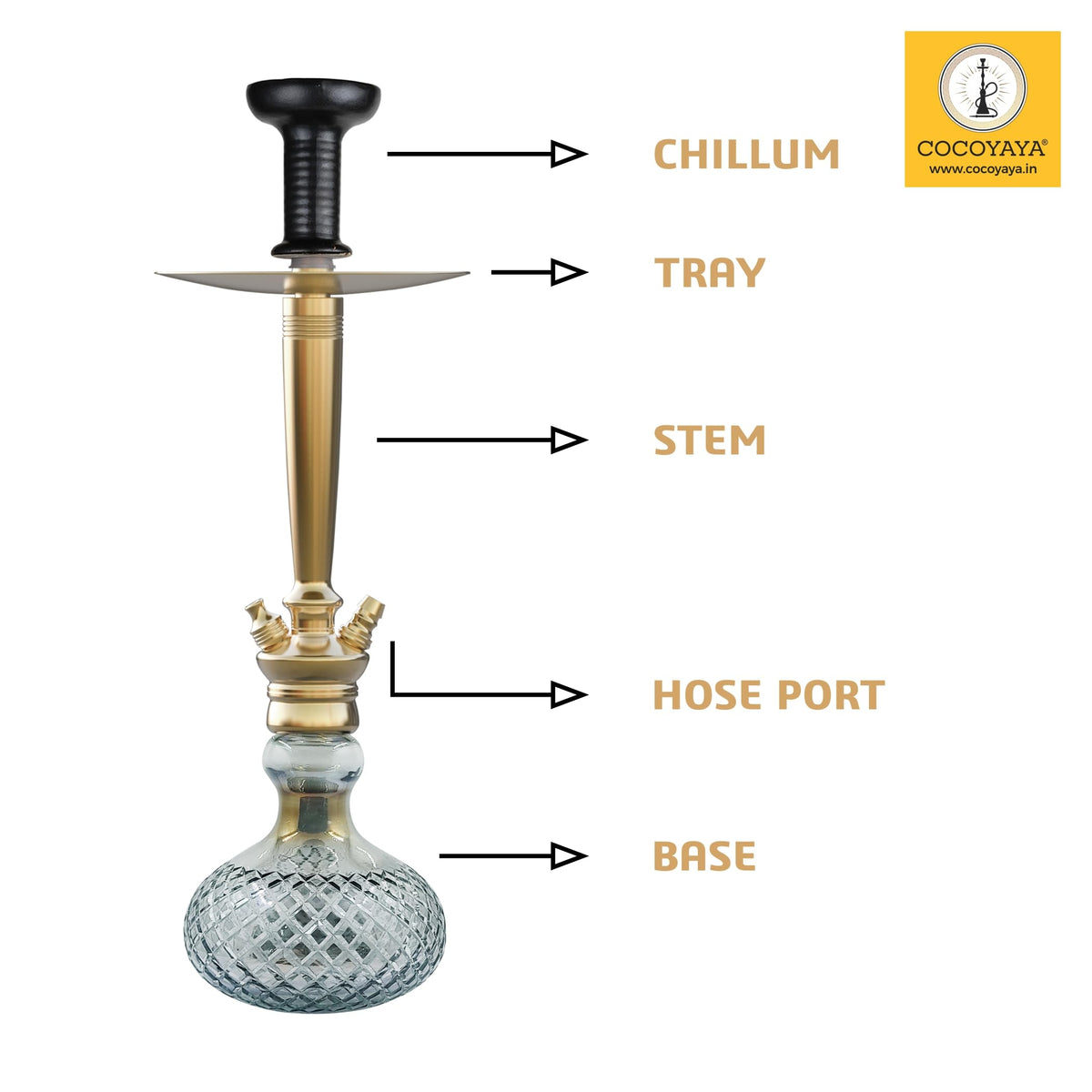 COCOYAYA Prince Series Dino Hookah Golden (Cut Glass Base) ( With Bag ...
