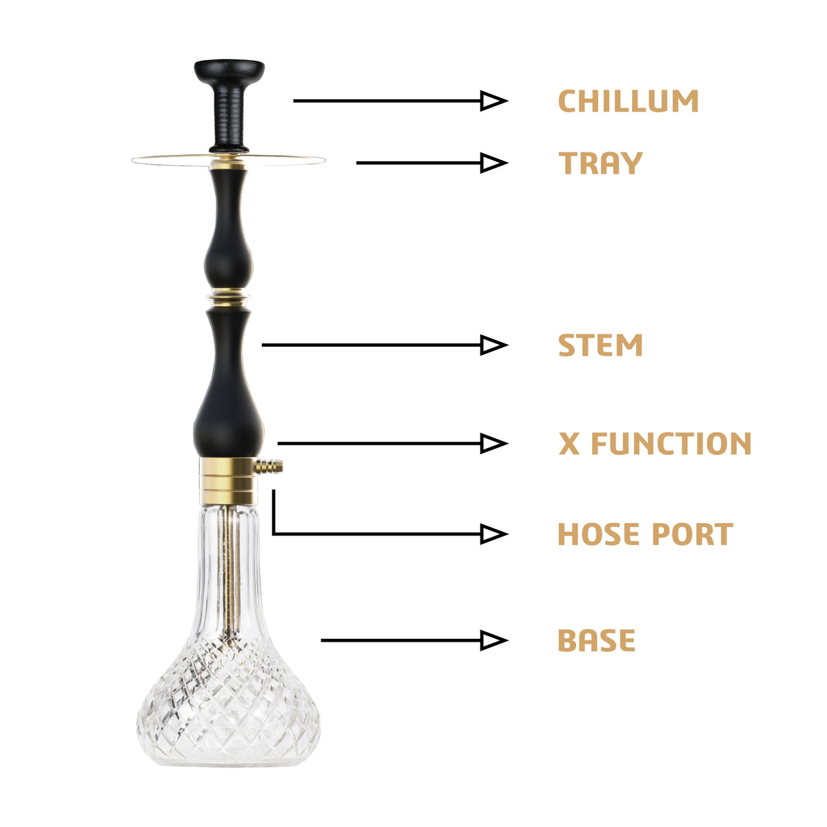 COCOYAYA Ottoman Series Ghazi Hookah Champagne Black (Transparent Base ...