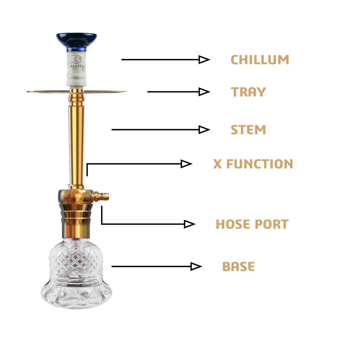 COCOYAYA Conquer Series Felix Hookah Golden (Transparent Base)(with ba ...